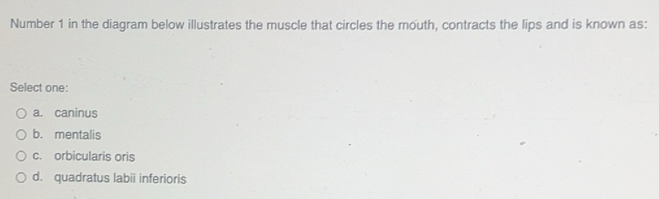 Solved: Number 1 in the diagram below illustrates the muscle that ...