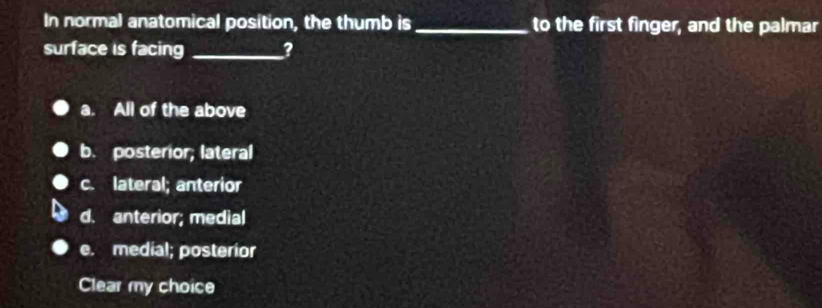 Solved: In normal anatomical position, the thumb is _to the first ...