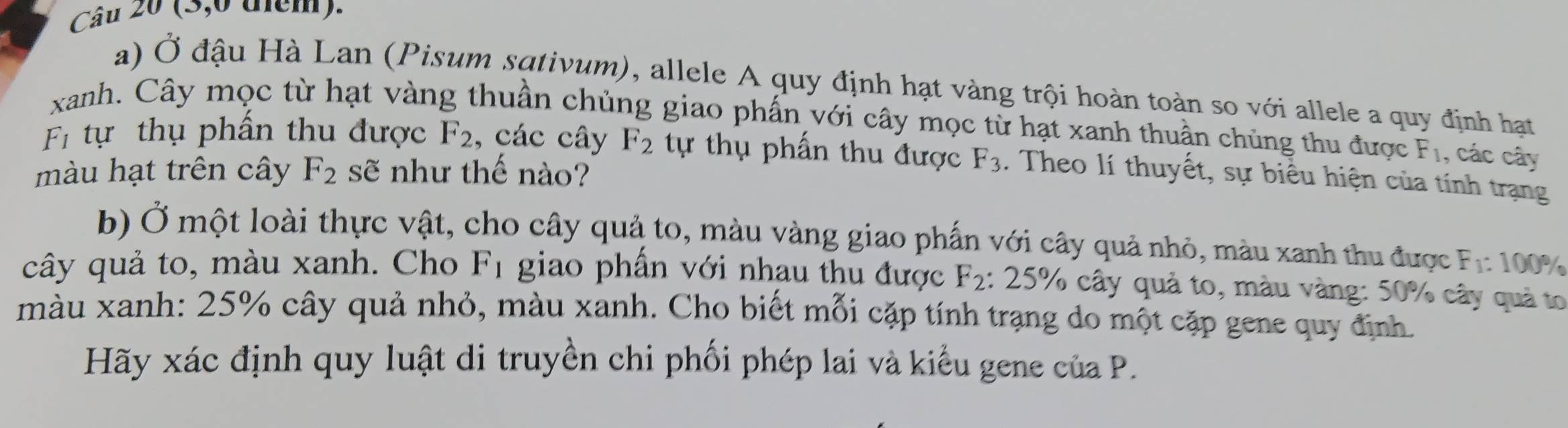 Giải quyết:(3,0 diểm). a) Ở đậu Hà Lan (Pisum sativum), allele A quy ...