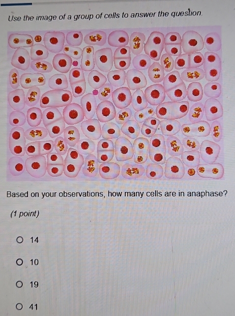 Solved: Use the image of a group of cells to answer the question. Based ...