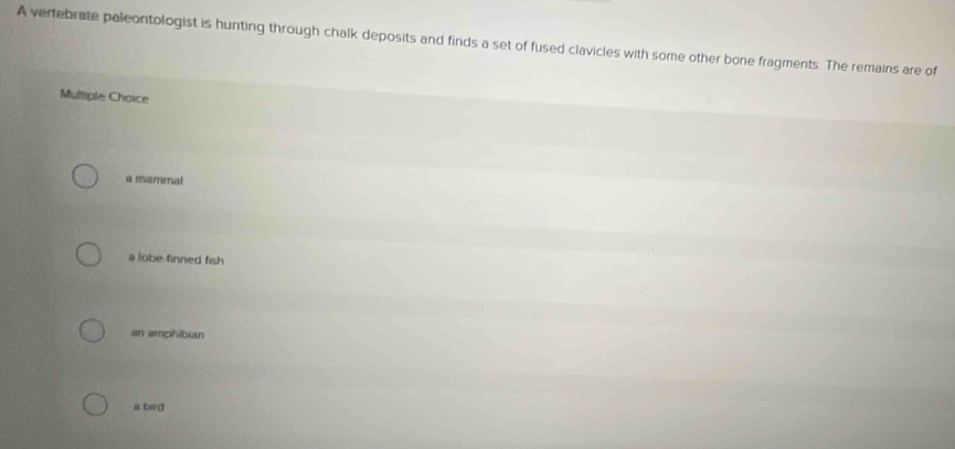 Solved: A vertebrate paleontologist is hunting through chalk deposits ...