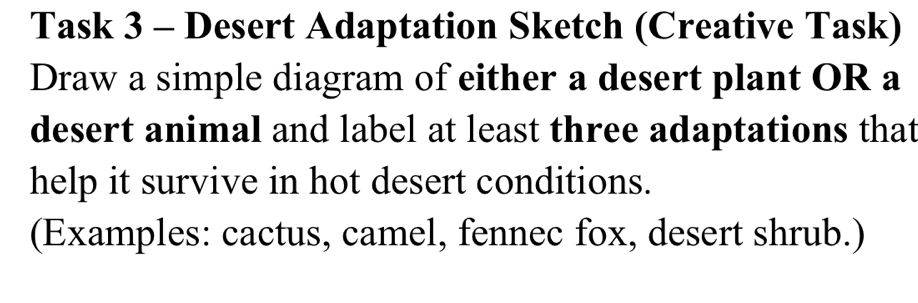Résolu :Task 3 - Desert Adaptation Sketch (Creative Task) Draw a simple ...