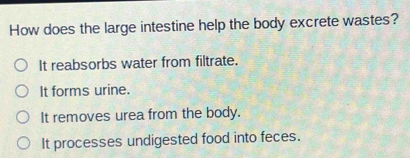 Solved: How does the large intestine help the body excrete wastes? It ...