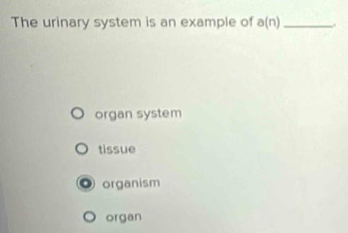 Solved: The urinary system is an example of a(n) _ , organ system ...