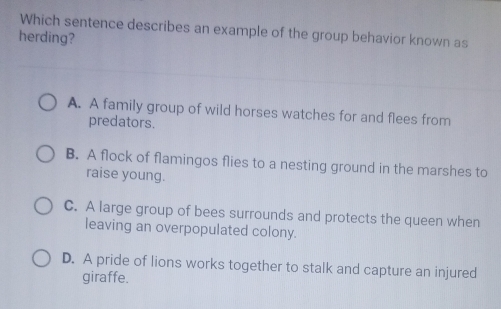 Solved: Which sentence describes an example of the group behavior known ...