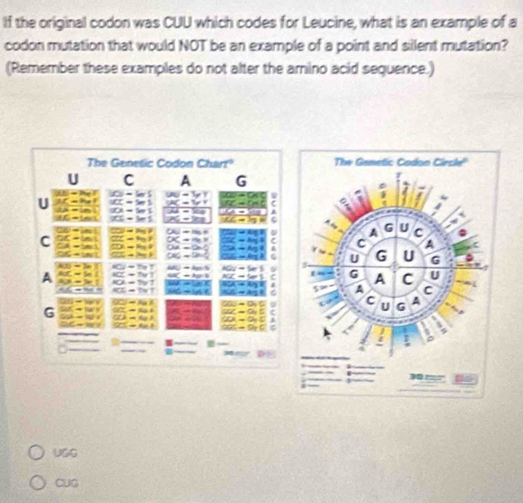 Solved: If the original codon was CUU which codes for Leucine, what is ...
