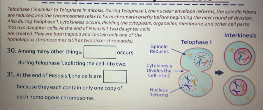 Gelöst:Telophase 1 is similar to Telophase in mitosis. During Telophase ...