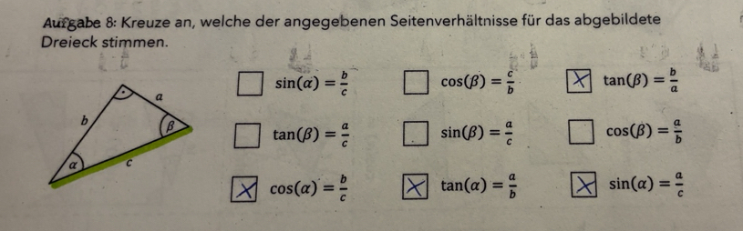 Gelöst:Aufgabe 8: Kreuze an, welche der angegebenen Seitenverhältnisse ...