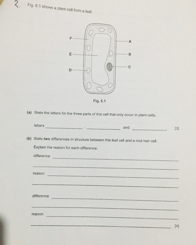 Solved: Fig. 6.1 shows a plant cell from a leaf. (a) State the letters ...