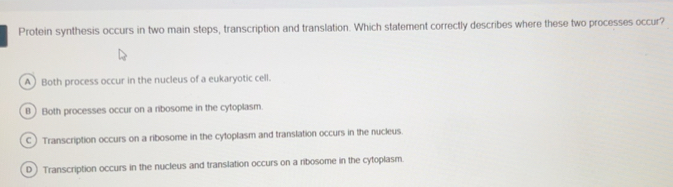 Solved: Protein synthesis occurs in two main steps, transcription and ...