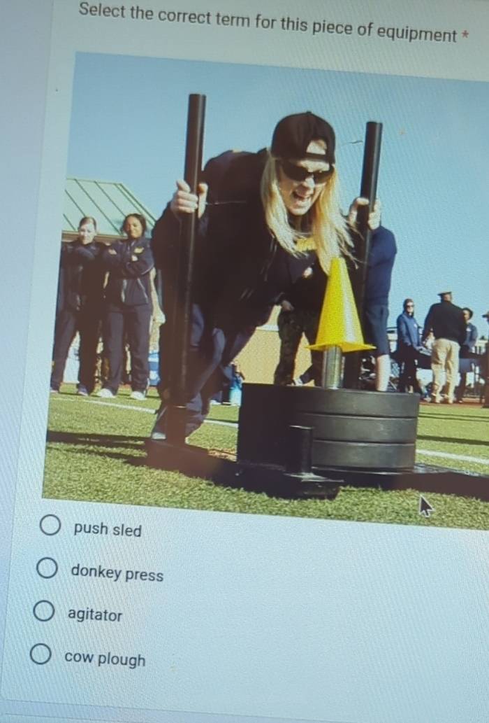 Solved: Select the correct term for this piece of equipment * donkey ...