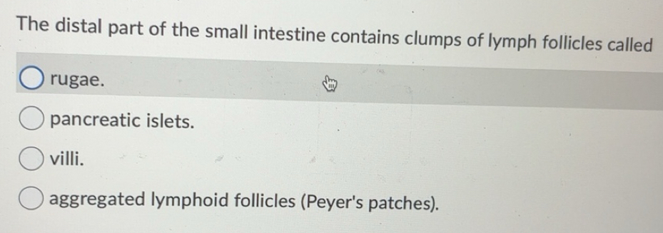 Solved: The distal part of the small intestine contains clumps of lymph ...