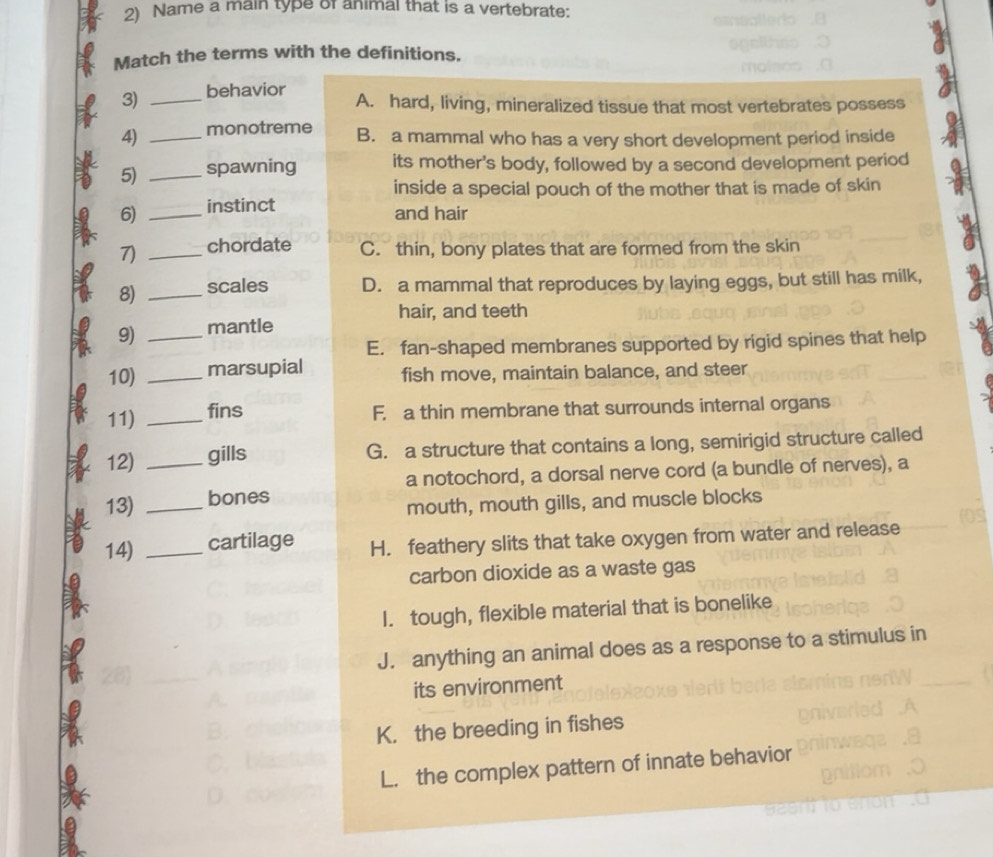 Solved: Name a main type of animal that is a vertebrate: Match the ...
