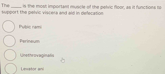 Solved: The _is the most important muscle of the pelvic floor, as it ...