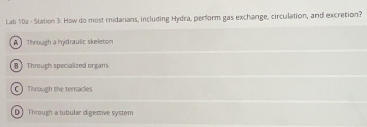 Solved: Lab 10a - Station 3: How do most cnidarians, including Hydra ...