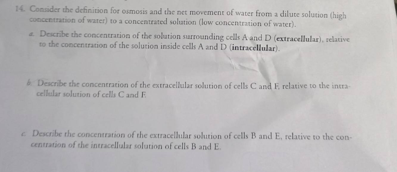 Solved: Consider the definition for osmosis and the net movement of ...