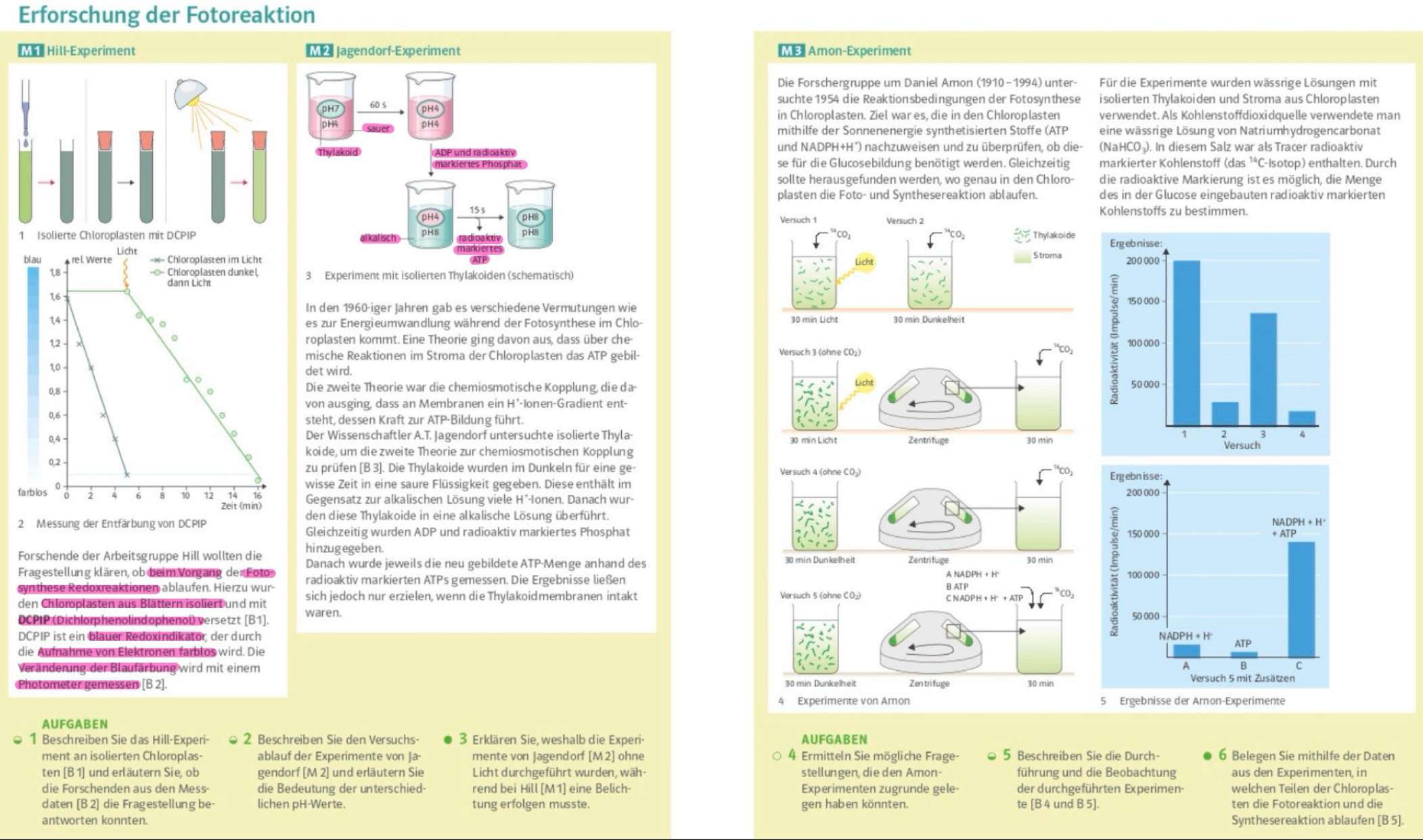 Gelöst:Erforschung der Fotoreaktion Hill-Experiment 【2 Jagendorf ...