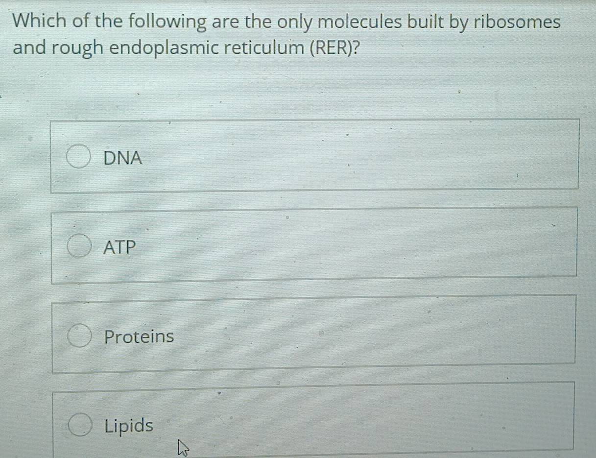 Solved: Which of the following are the only molecules built by ...