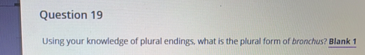 Solved: Using your knowledge of plural endings, what is the plural form ...