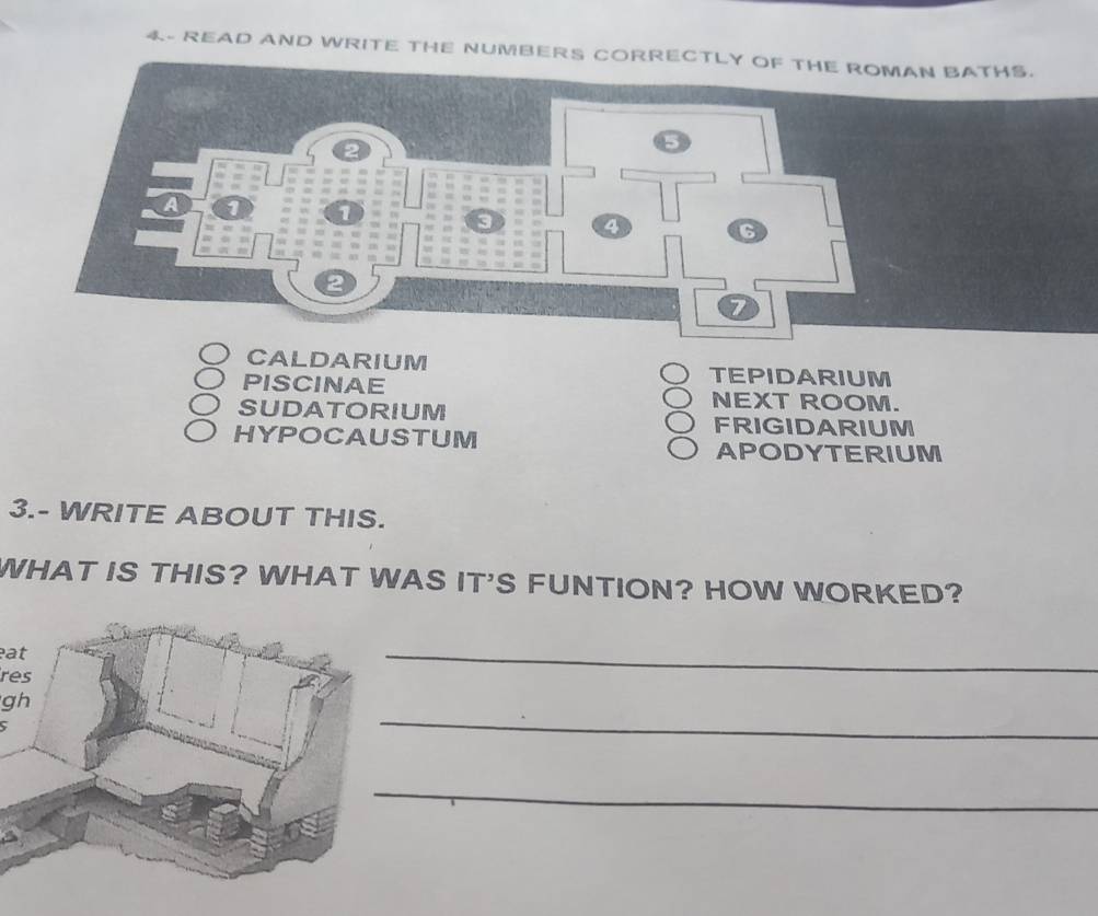 Resuelto:4- READ AND WRITE THE NUMBERS COR CALDARIUM TEPIDARIUM ...