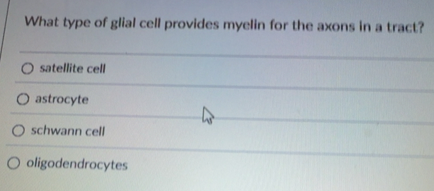 Solved: What type of glial cell provides myelin for the axons in a ...