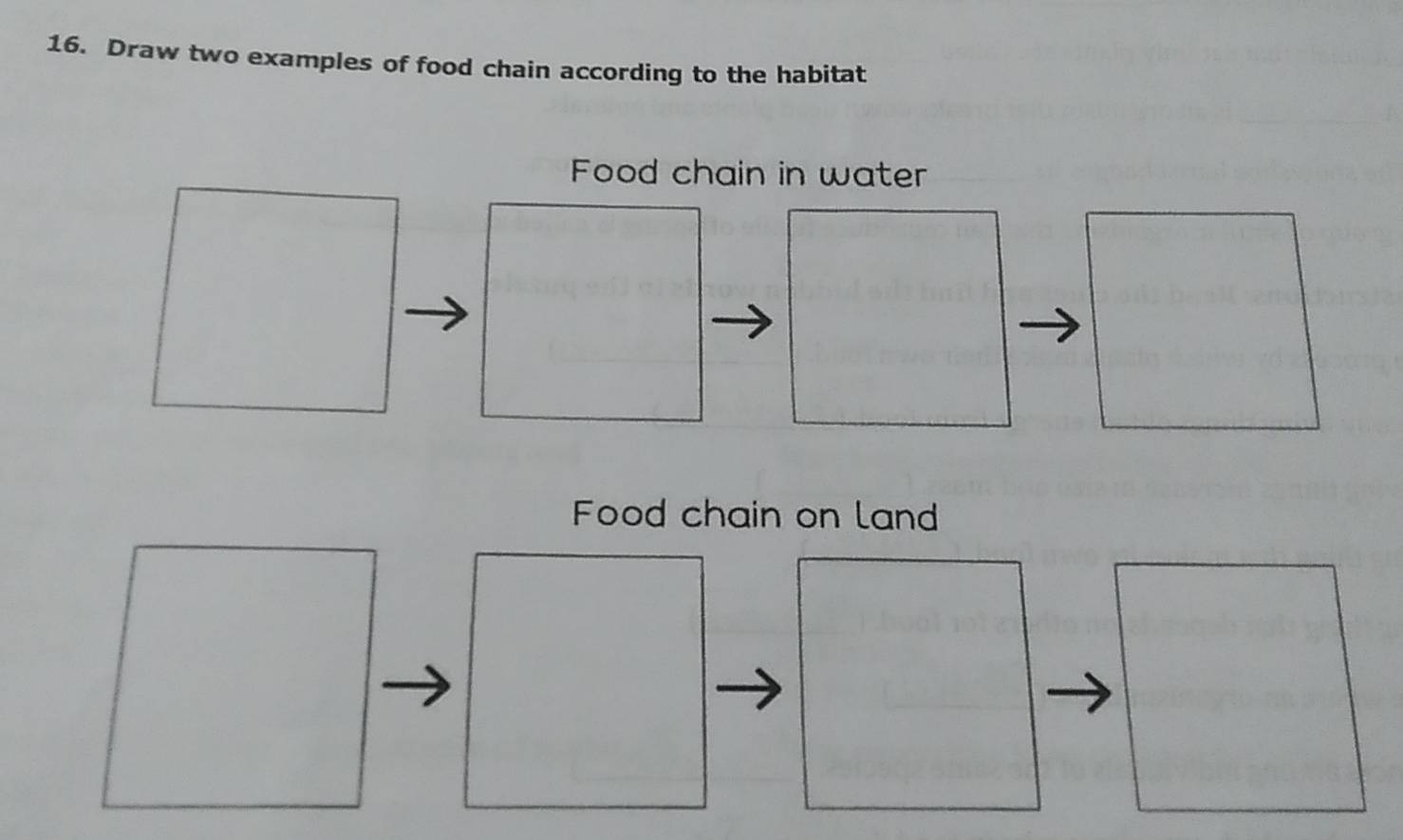 Resuelto:Draw two examples of food chain according to the habitat Food ...