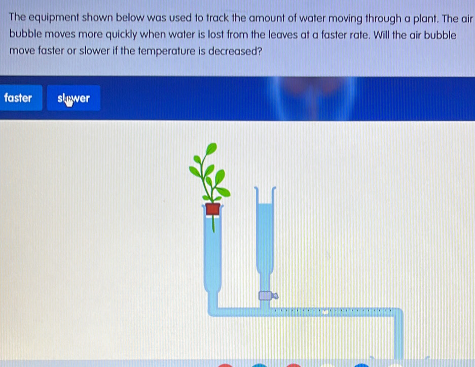 Solved: The equipment shown below was used to track the amount of water moving through a plant ...