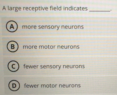 Solved: A large receptive field indicates _. A more sensory neurons B ...