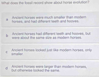 Solved: What does the fossil record show about horse evolution? Ancient ...