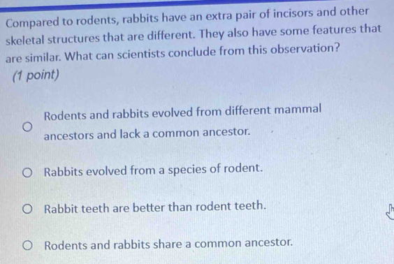 Solved: Compared to rodents, rabbits have an extra pair of incisors and ...