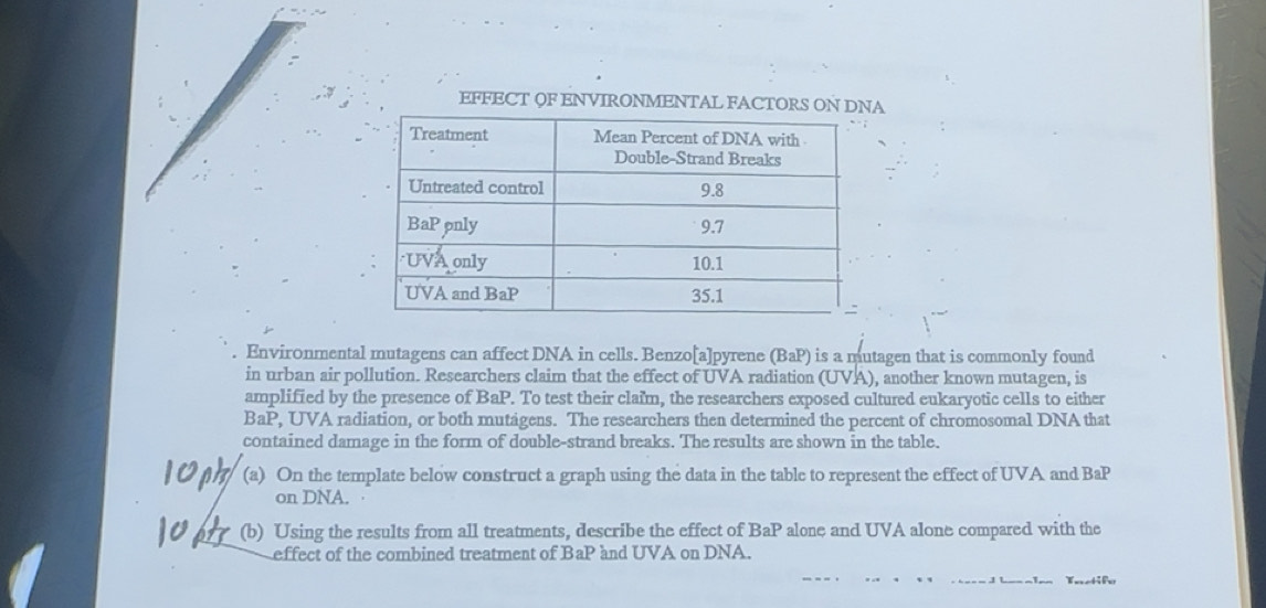 Solved: EFFECT QF ENVIRONMENTAL FACTORS ON DNA Environmental mutagens ...