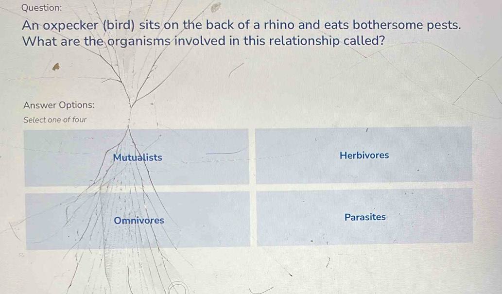 Solved: An oxpecker (bird) sits on the back of a rhino and eats ...