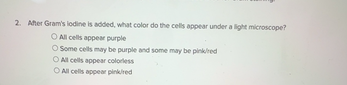 Solved: After Gram's iodine is added, what color do the cells appear ...