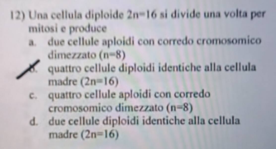 Risolto:Una cellula diploide 2n=16 si divide una volta per mitosi e ...