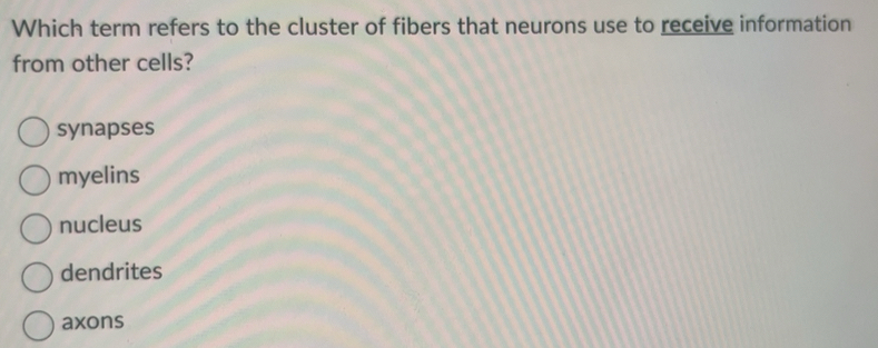 Solved: Which term refers to the cluster of fibers that neurons use to ...