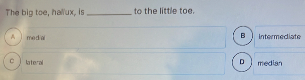 Solved: The big toe, hallux, is _to the little toe. B A medial ...