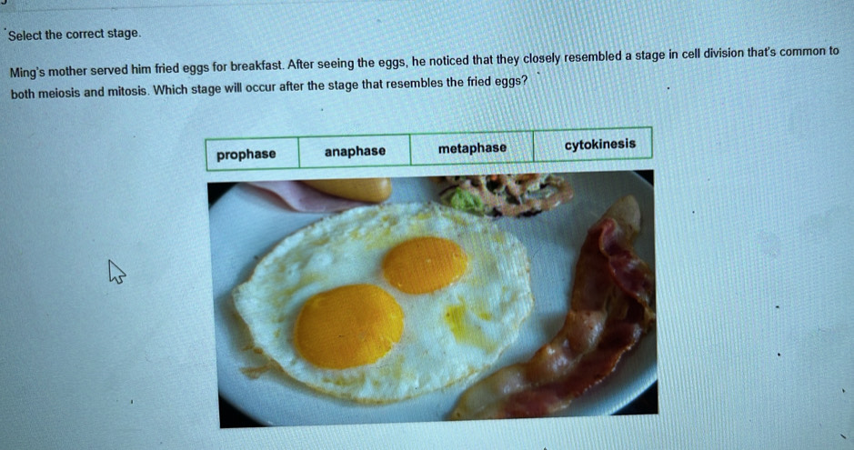 Solved: Select the correct stage. Ming's mother served him fried eggs ...