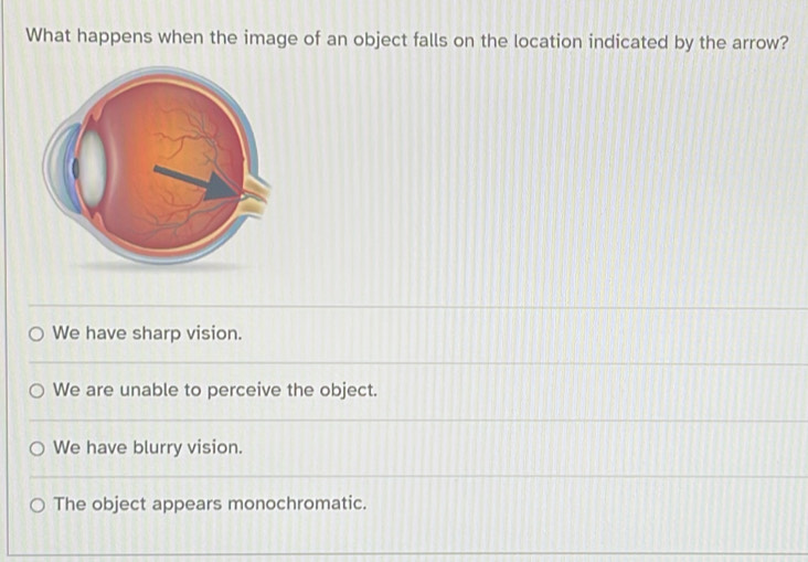 Solved: What happens when the image of an object falls on the location ...