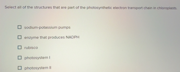 Solved: Select all of the structures that are part of the ...