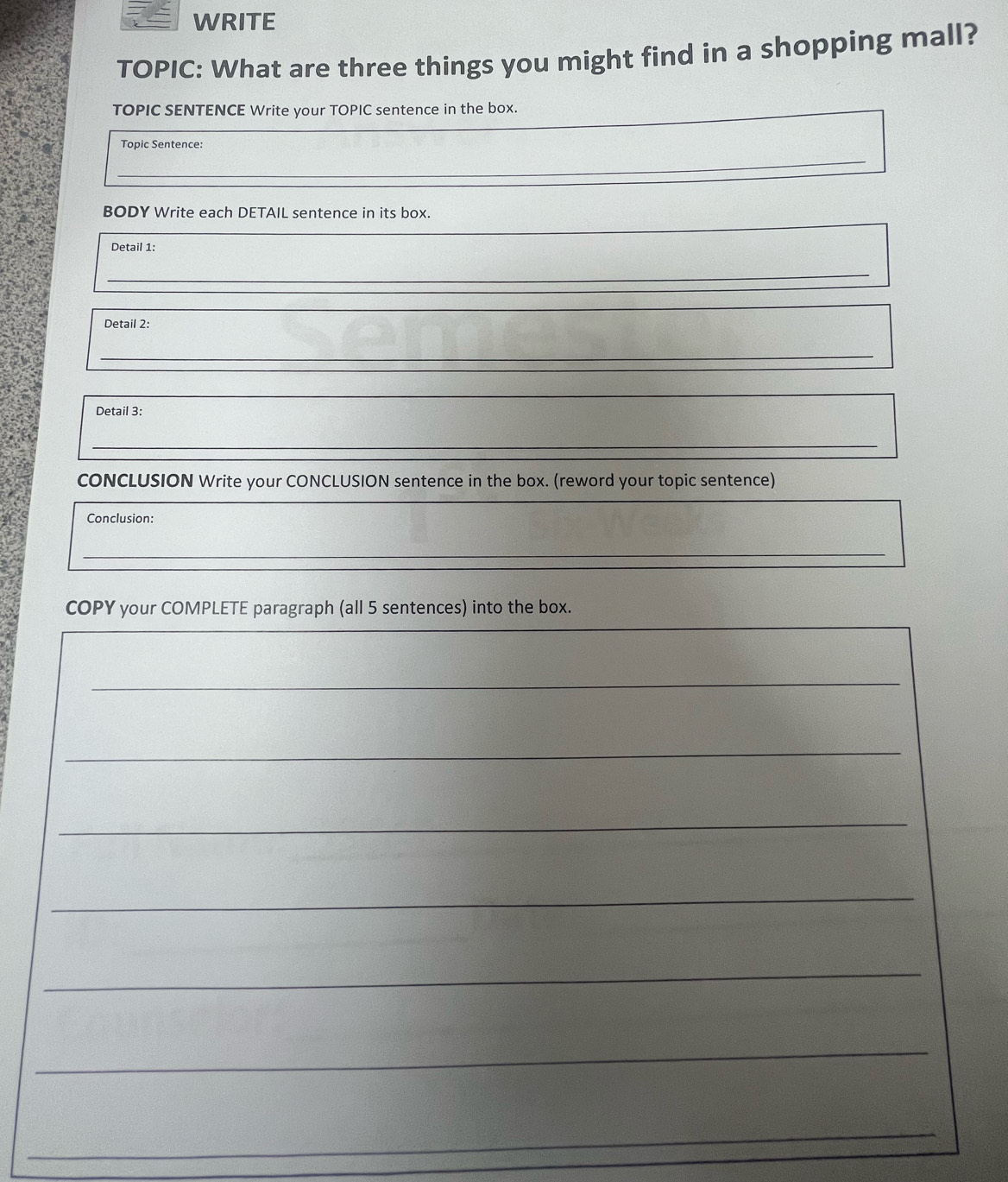 Solved: WRITE TOPIC: What are three things you might find in a shopping ...