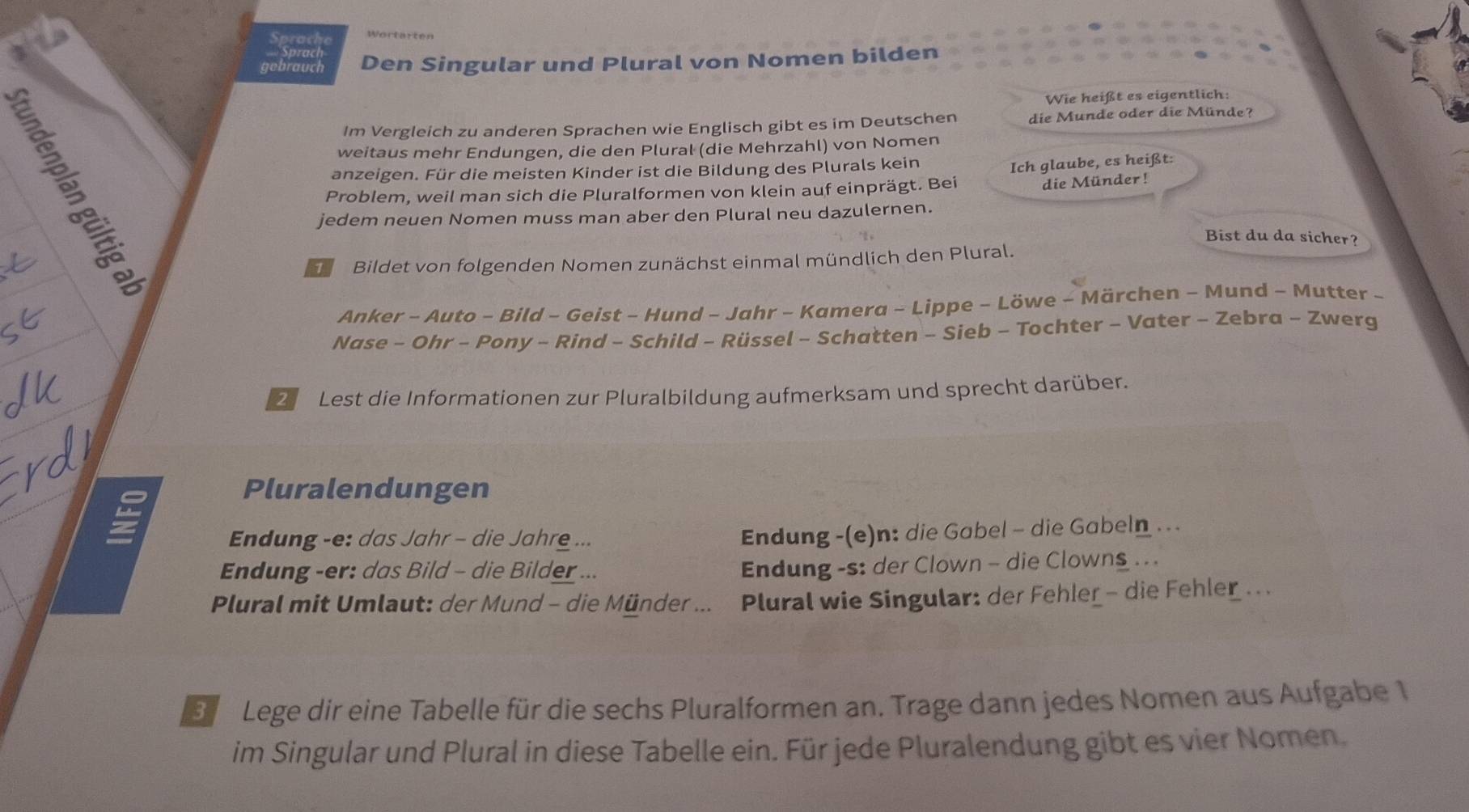 Gelöst:gebrauch Den Singular und Plural von Nomen bilden Wie heißt es ...