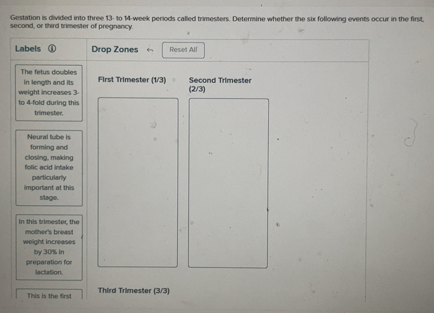 Solved: Gestation is divided into three 13 - to 14-week periods called ...