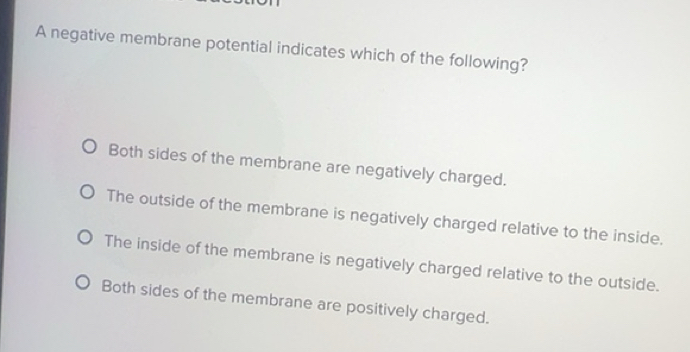 Solved: A negative membrane potential indicates which of the following ...