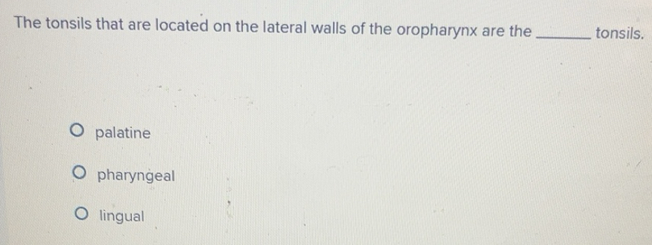 Solved: The tonsils that are located on the lateral walls of the ...