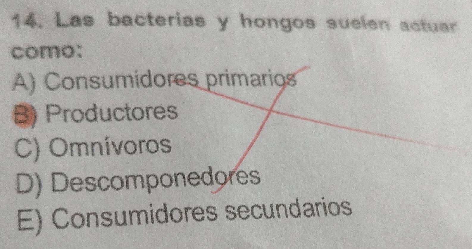 Resuelto:Las bacterias y hongos suelen actuar como: A) Consumidores ...