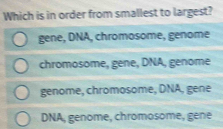 Solved: Which is in order from smallest to largest? gene, DNA ...