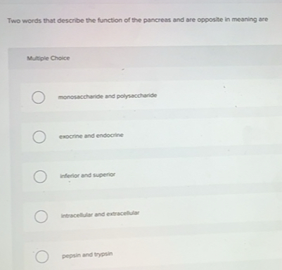Solved: Two words that describe the function of the pancreas and are ...