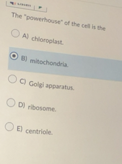 Solved: The "powerhouse" of the cell is the A) chloroplast. B ...