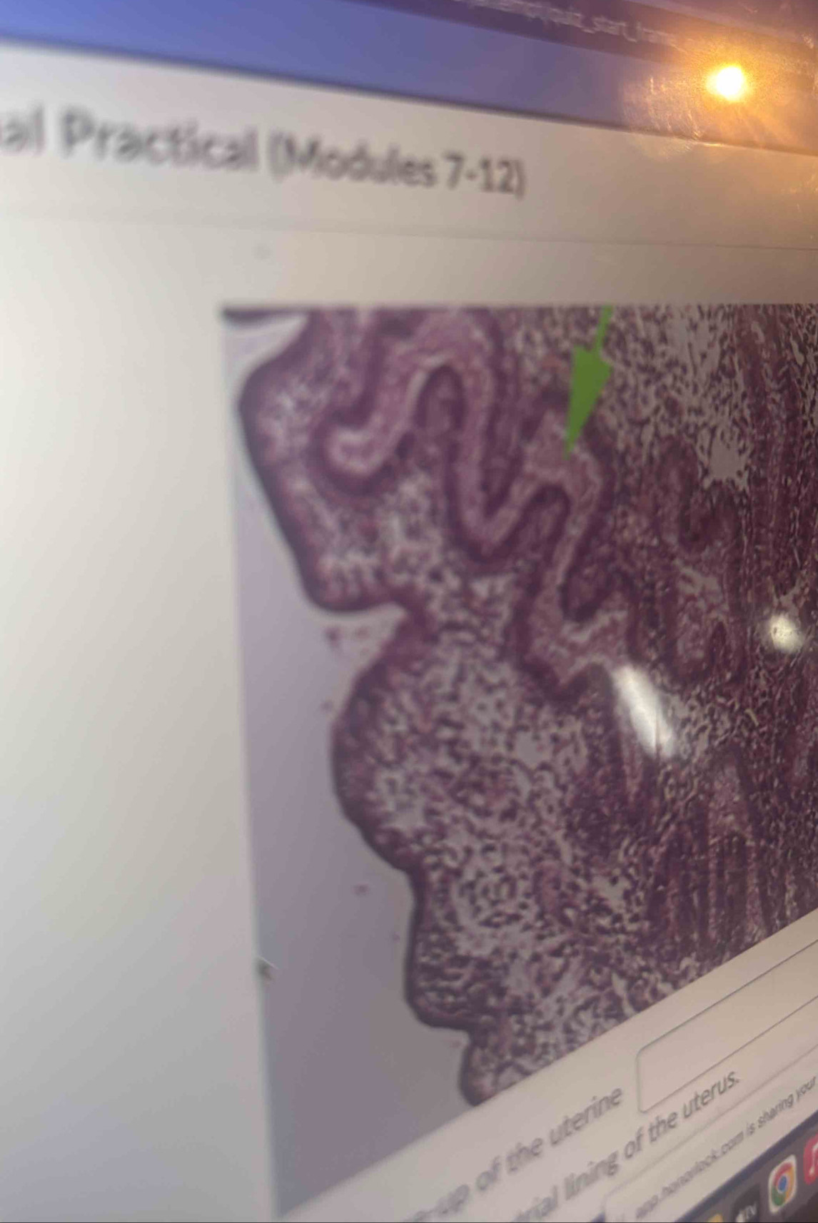 Solved: a cart fram al Practical (Modules 7-12) terin iin o th ter mp ...