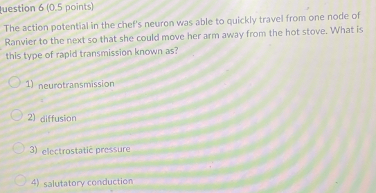 Solved: The action potential in the chef's neuron was able to quickly ...